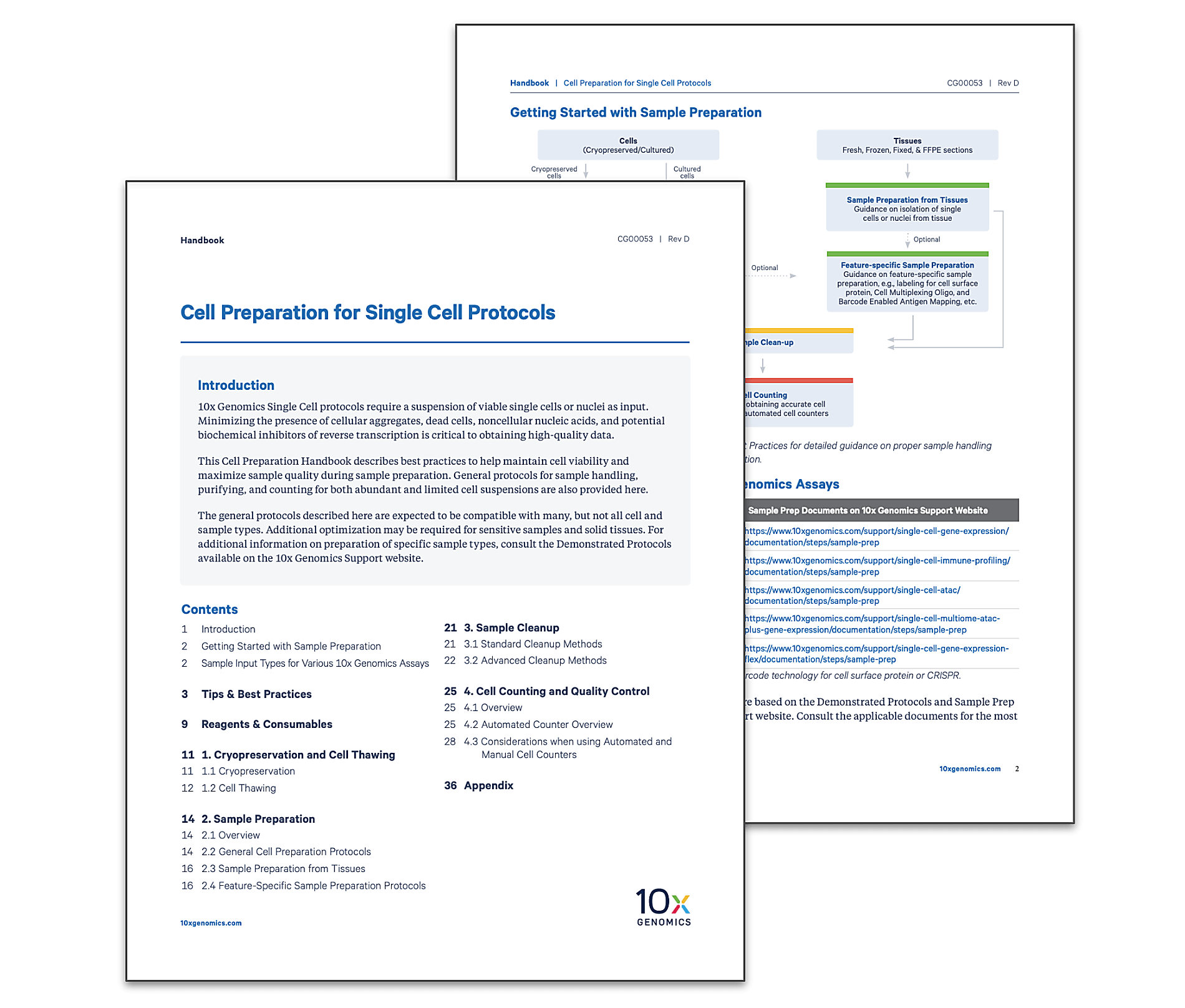 FAQs about single cell sample preparation (covering the basics) | 10x Genomics